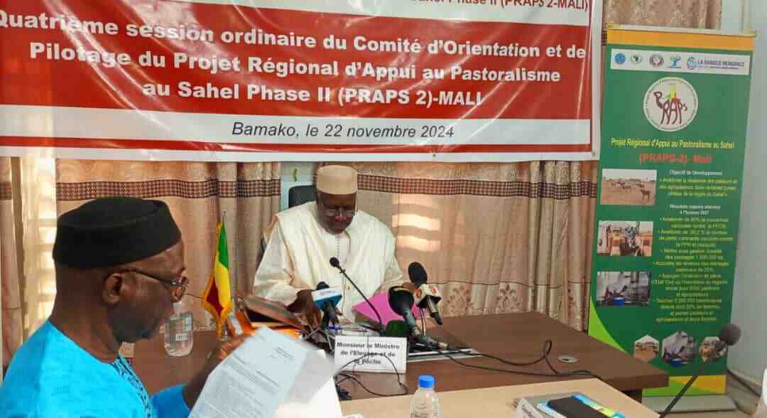 PRAPS 2: Pour le développement du pastoralisme au Sahel - Actumali